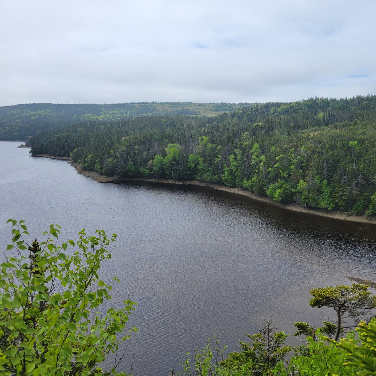 ECT Series: Mudder Wet Path | The Road Goes Ever On